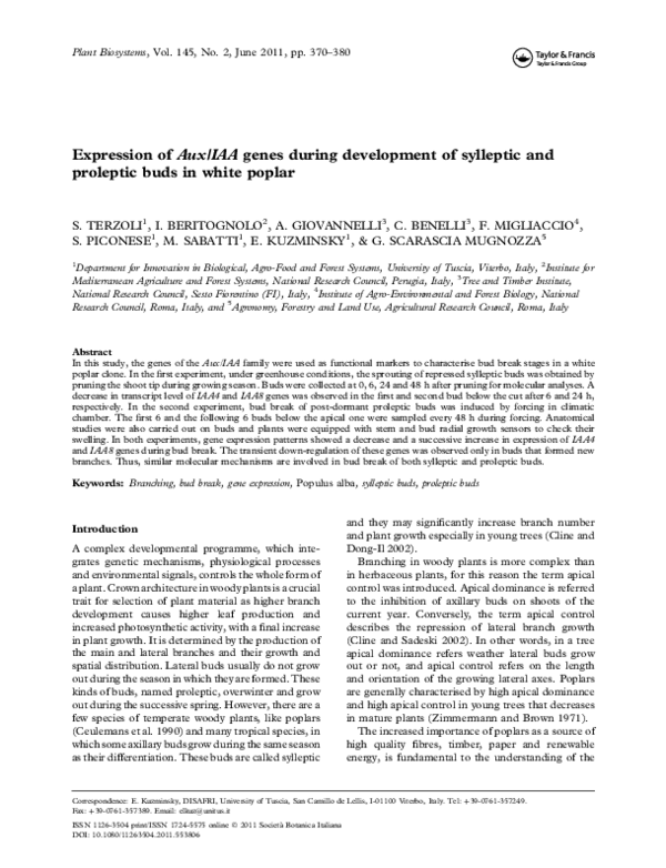 (PDF) Expression of Aux/IAA genes during development of sylleptic and ...