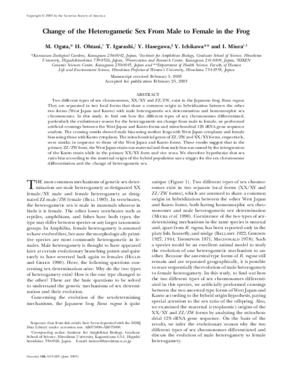(PDF) Change of the Heterogametic Sex From Male to Female in the Frog