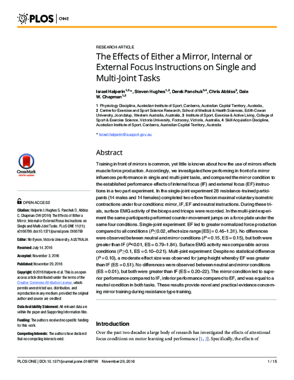 (PDF) The Effects of Either a Mirror, Internal or External Focus ...