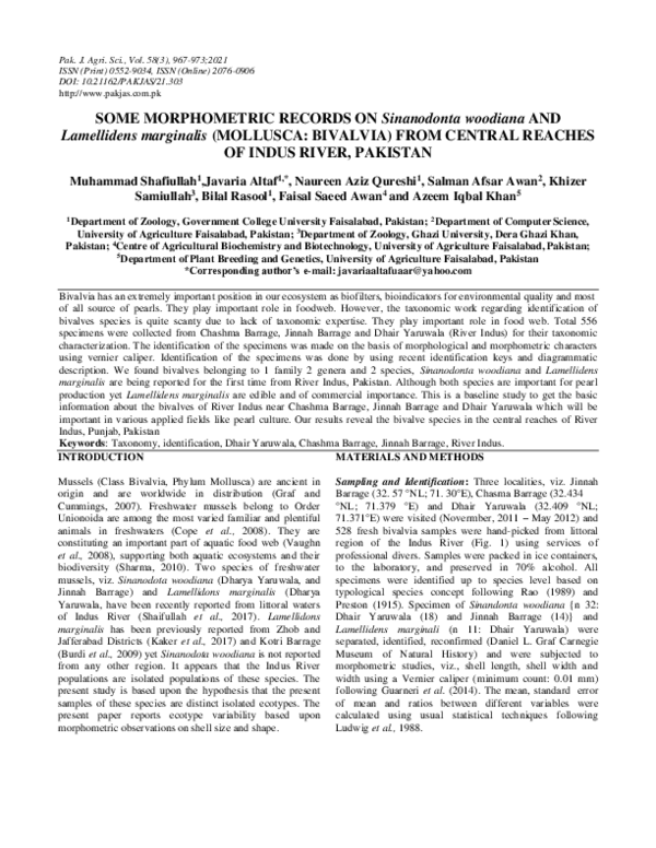 (PDF) SOME MORPHOMETRIC RECORDS ON Sinanodonta woodiana AND Lamellidens ...