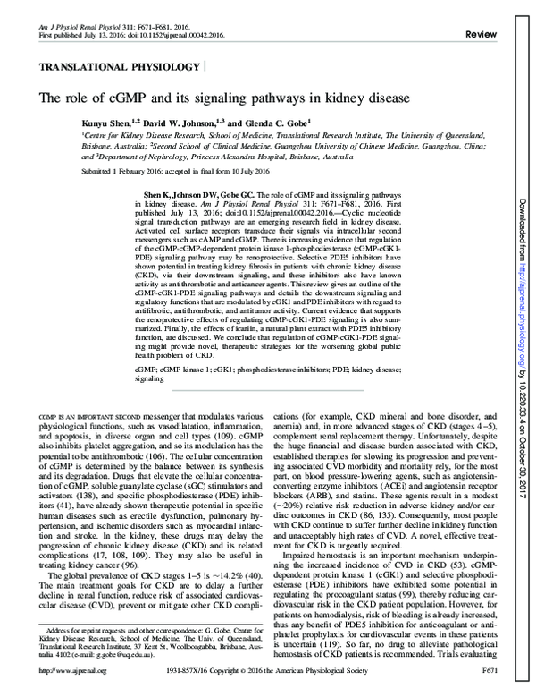 (PDF) The Role of Cyclic GMP and its Signaling Pathways in Kidney Disease