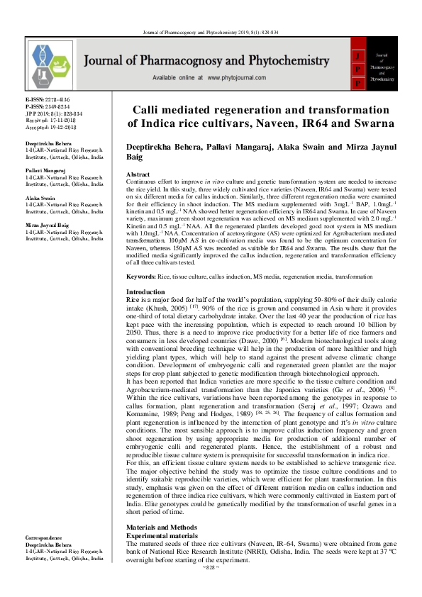 (PDF) Calli mediated regeneration and transformation of Indica rice ...