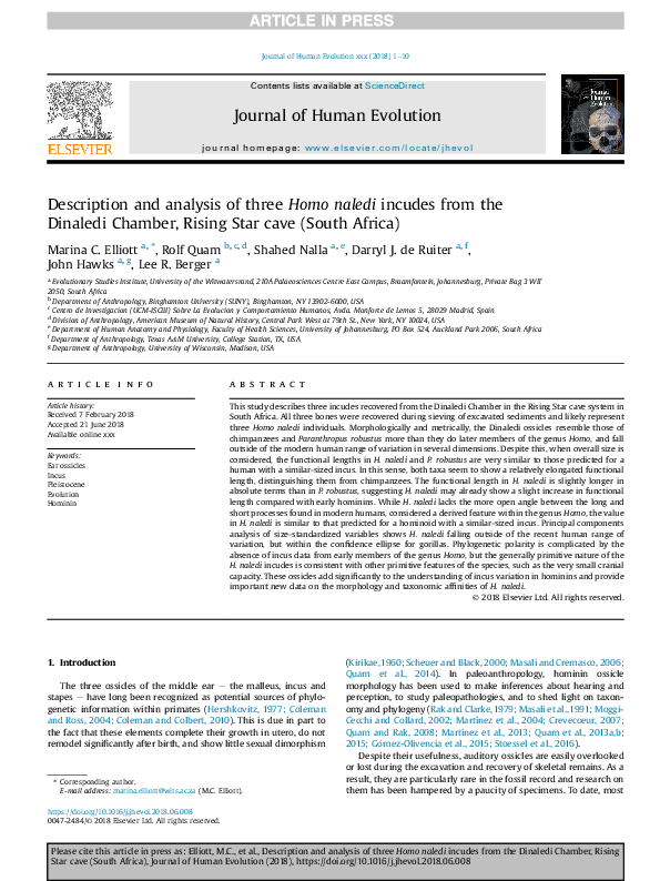 (PDF) Description and analysis of three Homo naledi incudes from the ...