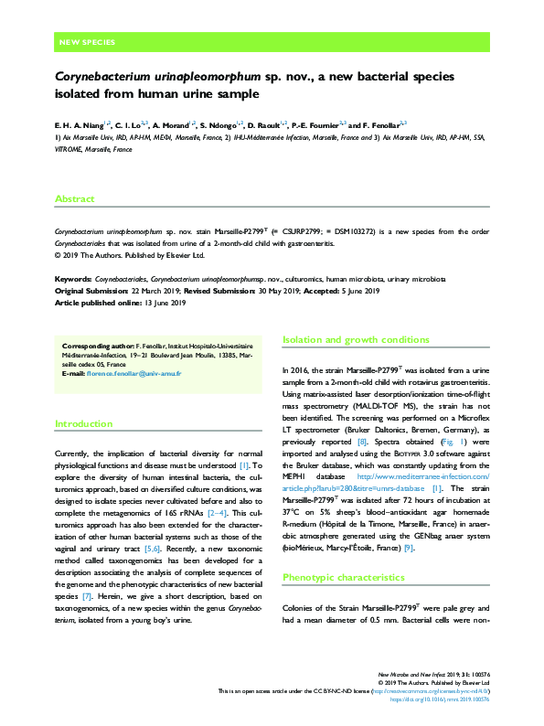 (PDF) Corynebacterium urinapleomorphum sp. nov., a new bacterial ...