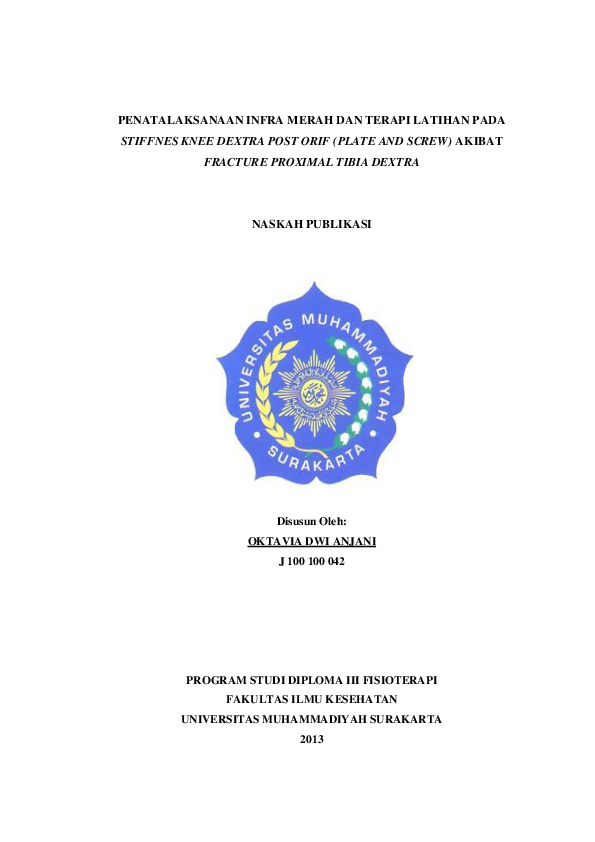 (PDF) Penatalaksanaan Infra Merah Dan Terapi Latihan Pada Stiffnes Knee ...