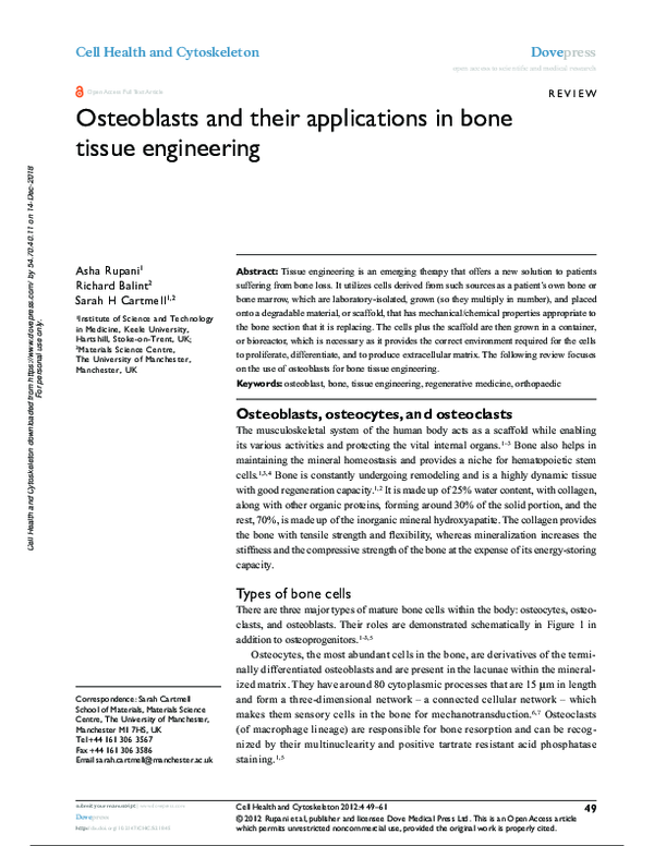 (PDF) Osteoblasts and their applications in bone tissue engineering
