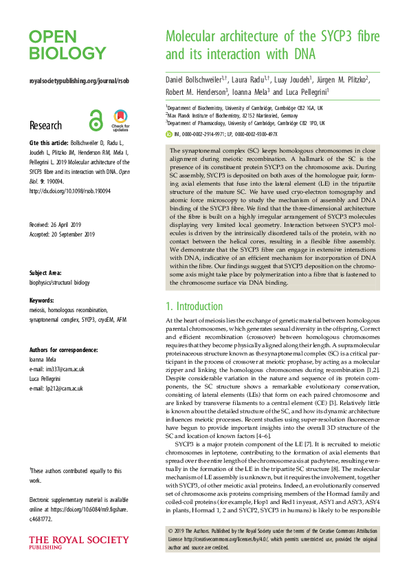 (PDF) Molecular architecture of the SYCP3 fibre and its interaction ...
