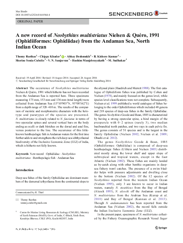 (PDF) A new record of Neobythites multistriatus Nielsen & Quéro, 1991 ...