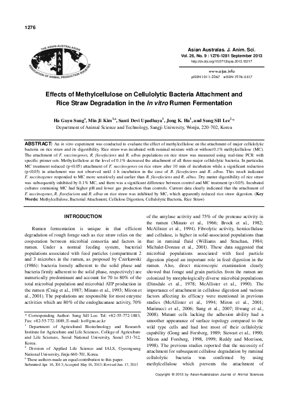 Study of the Activity of Grubbs Catalyst-Functionalized Multiwalled ...