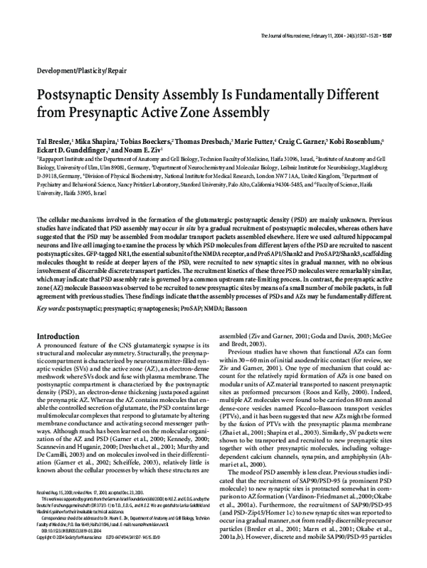 (PDF) Postsynaptic Density Assembly Is Fundamentally Different from ...