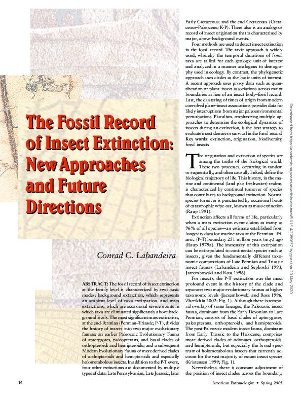 (PDF) The Fossil Record of Insect Extinction: New Approaches and Future ...