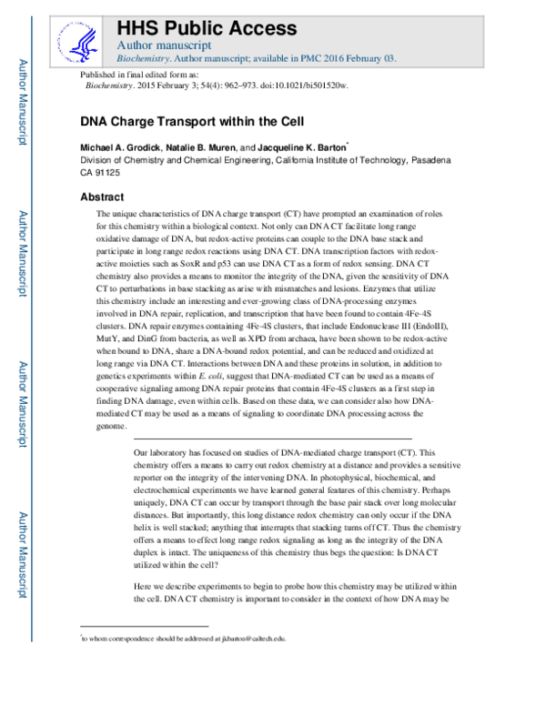(PDF) DNA charge transport within the cell