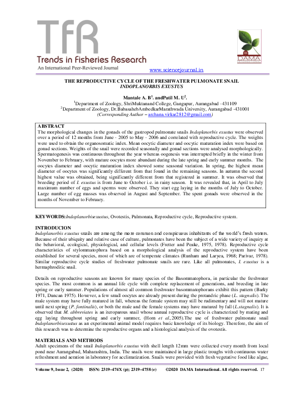 (PDF) THE REPRODUCTIVE CYCLE OF THE FRESHWATER PULMONATE SNAIL ...