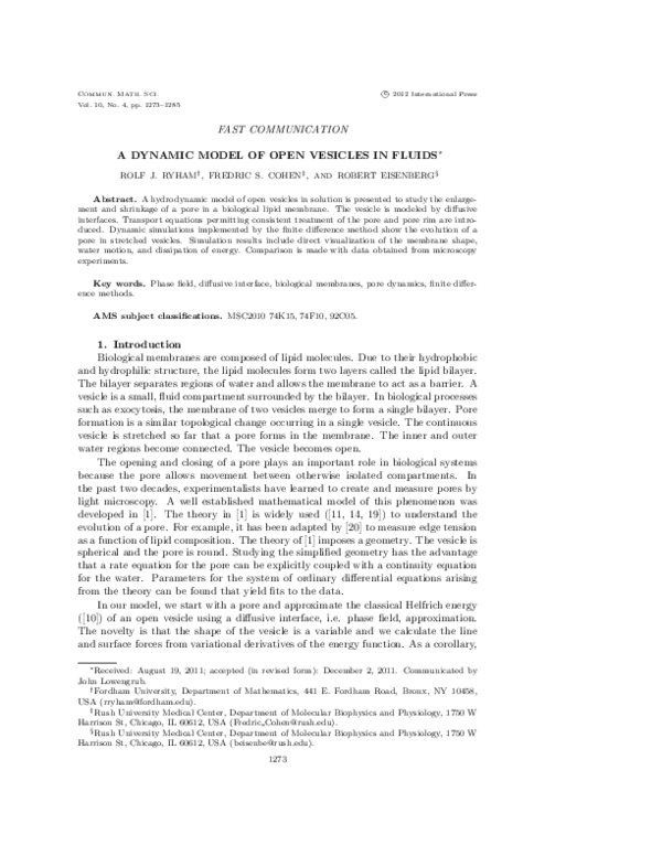 (PDF) A dynamic model of open vesicles in fluids