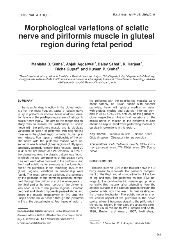 (PDF) Morphological variations of sciatic nerve and piriformis muscle ...