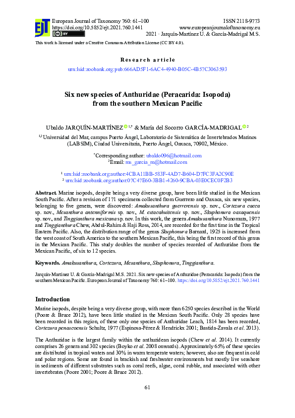 (PDF) Six new species of Anthuridae (Peracarida: Isopoda) from the ...