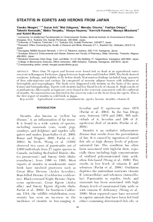 (PDF) Steatitis in Egrets and Herons from Japan