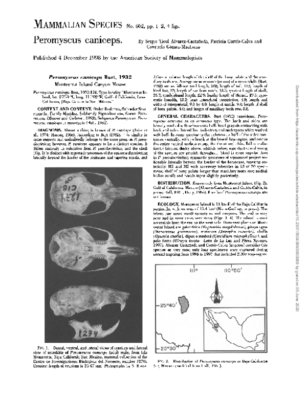 (PDF) Peromyscus caniceps