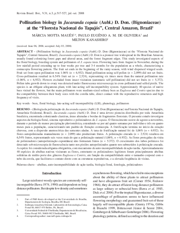 (PDF) Pollination biology in Jacaranda copaia (Aubl.) D. Don ...