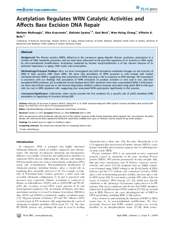 (PDF) Acetylation Regulates WRN Catalytic Activities and Affects Base ...