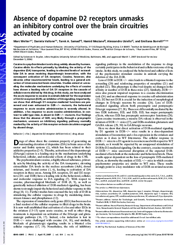 (PDF) Absence of dopamine D2 receptors unmasks an inhibitory control ...