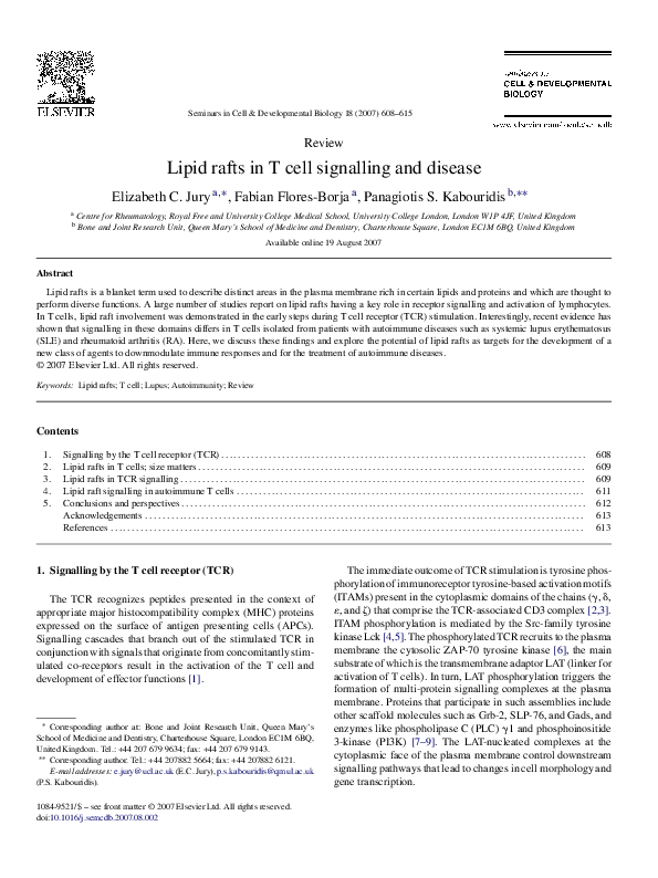 (PDF) Lipid rafts in T cell signalling and disease