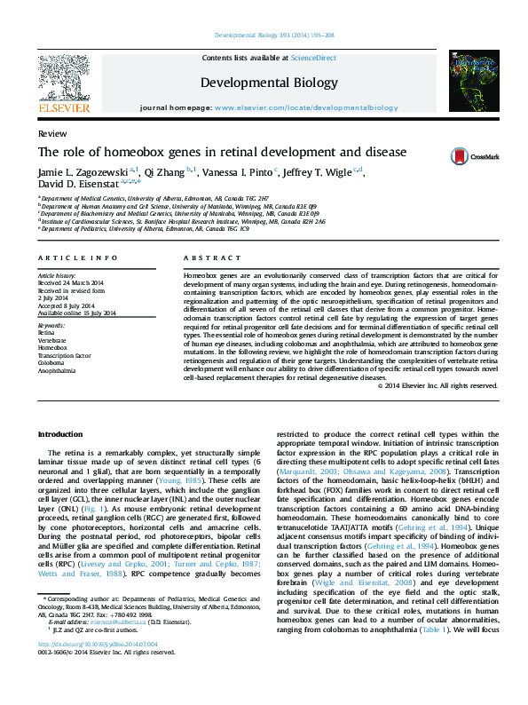 (PDF) The role of homeobox genes in retinal development and disease