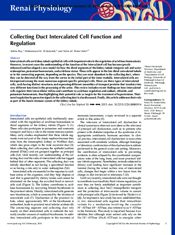 (PDF) Collecting Duct Intercalated Cell Function and Regulation