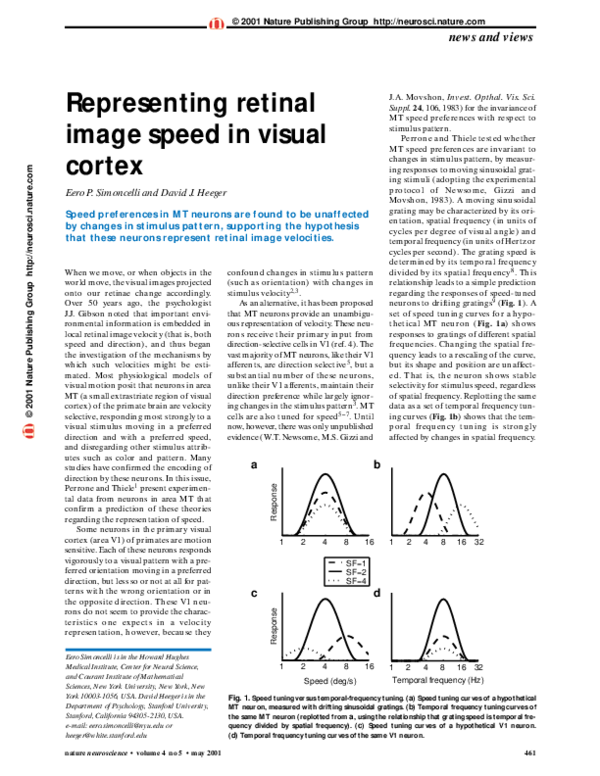 (PDF) Representing retinal image speed in visual cortex
