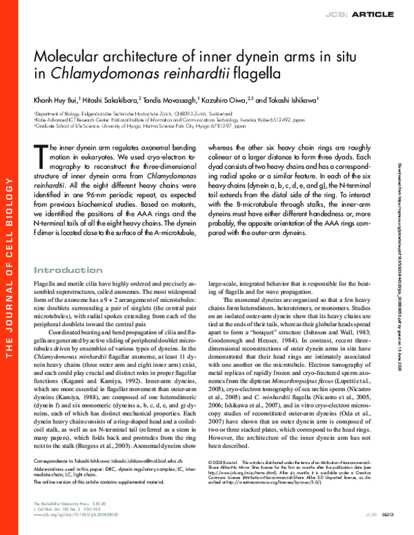 (PDF) Molecular architecture of inner dynein arms in situ in ...