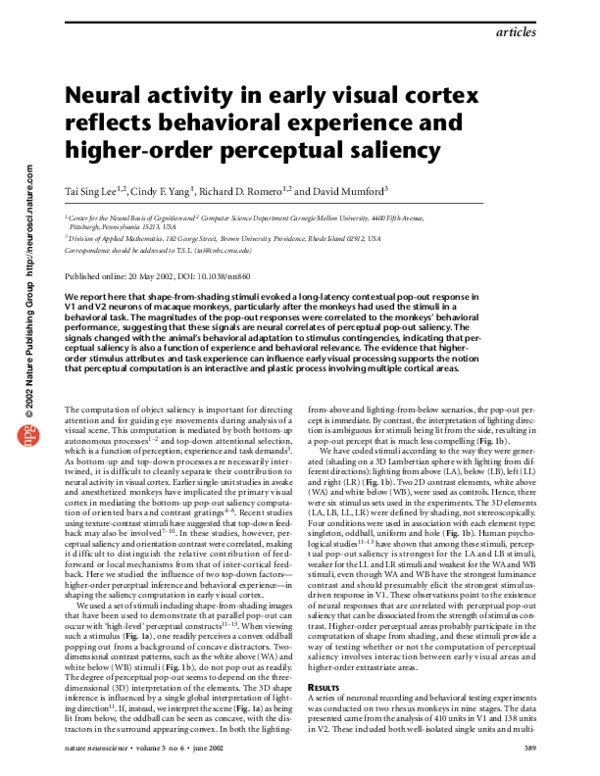 (PDF) Higher-Order Influences on Visual Saliency