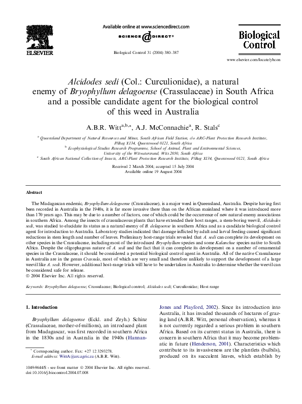 (PDF) Alcidodes sedi (Col.: Curculionidae), a natural enemy of ...