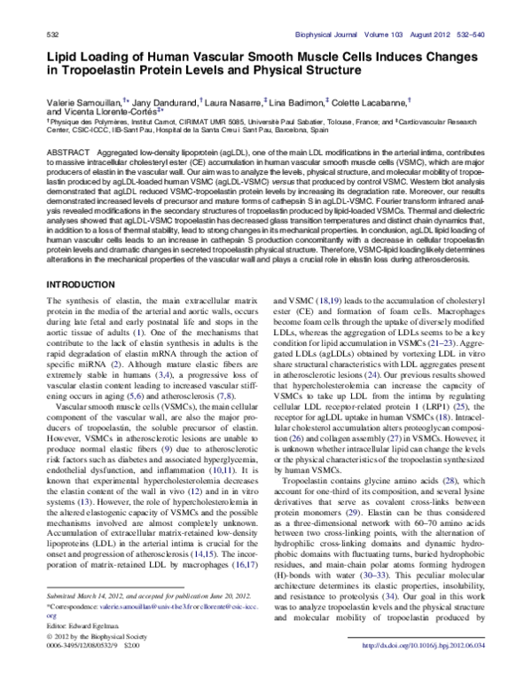 (PDF) Lipid Loading of Human Vascular Smooth Muscle Cells Induces ...