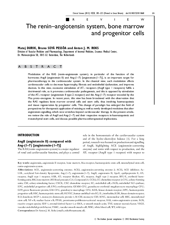 (PDF) The renin–angiotensin system, bone marrow and progenitor cells ...