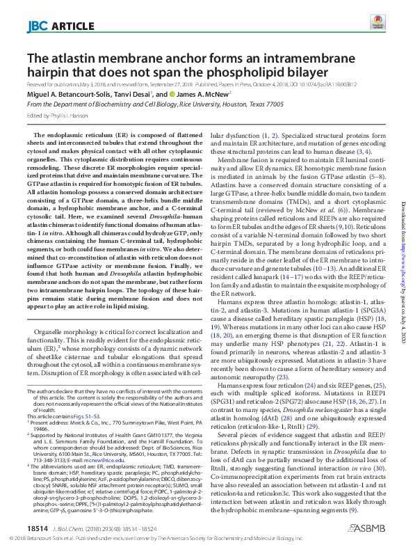 (PDF) The atlastin membrane anchor forms an intramembrane hairpin that ...