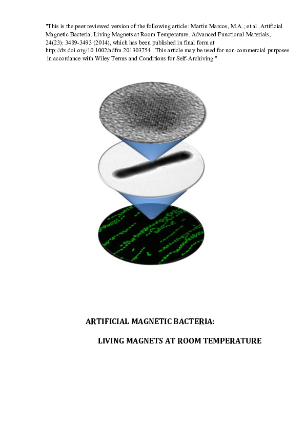 (PDF) Artificial Magnetic Bacteria: Living Magnets at Room Temperature ...