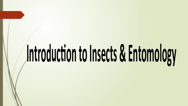 (PPT) Introduction to Insects