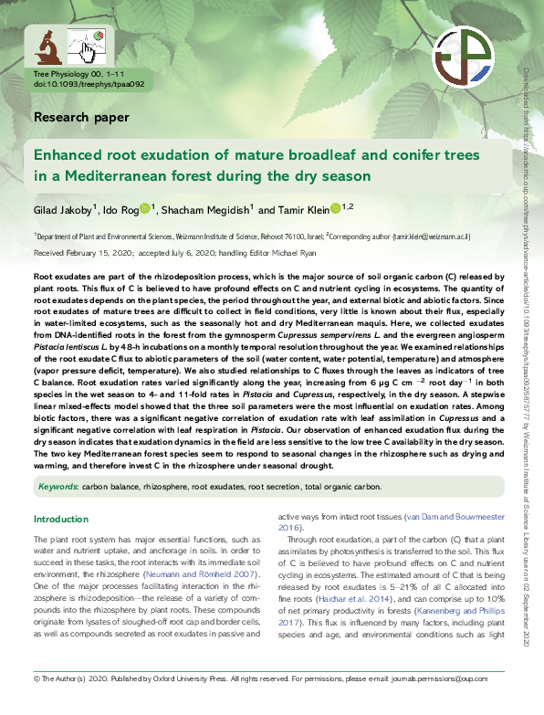 (PDF) Enhanced root exudation of mature broadleaf and conifer trees in ...