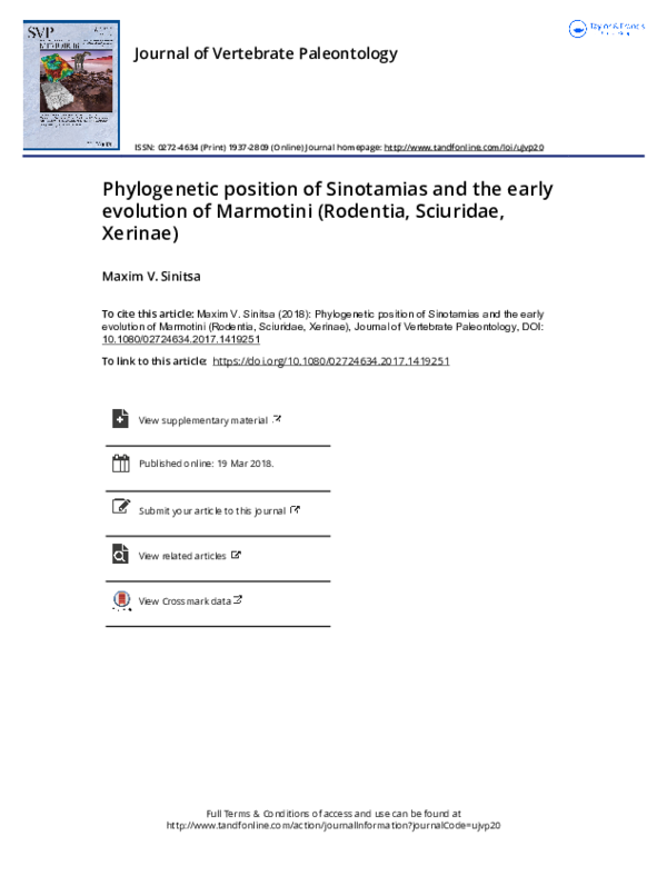 (PDF) Phylogenetic position of Sinotamias and the early evolution of ...