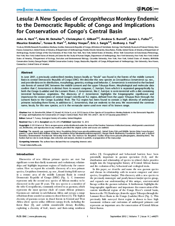 (PDF) Lesula: A New Species of Cercopithecus Monkey Endemic to the ...