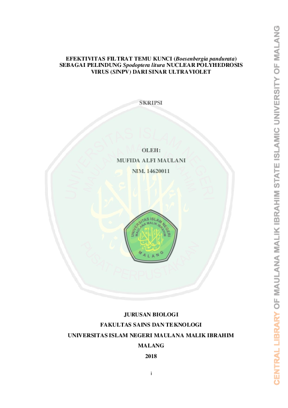 (PDF) Efektivitas filtrat temu kunci (Boesenbergia pandurata) sebagai ...