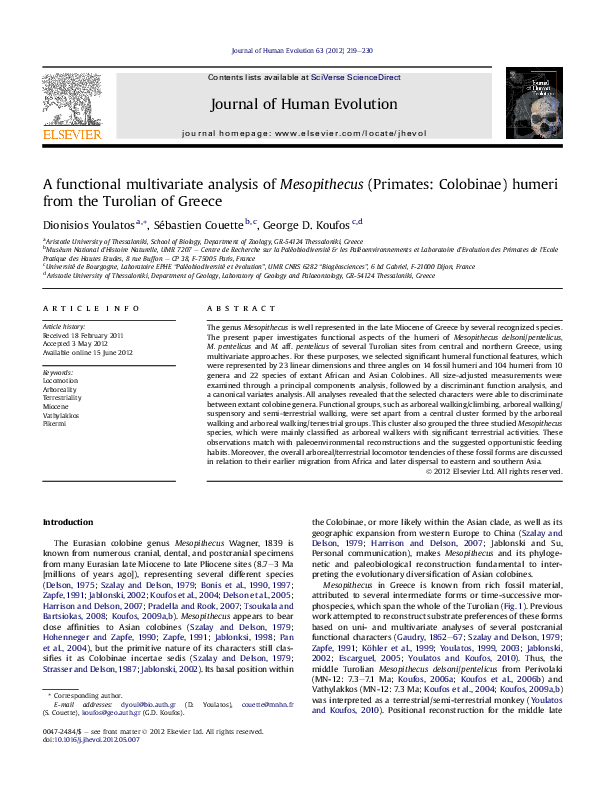 (PDF) A functional multivariate analysis of Mesopithecus (Primates ...