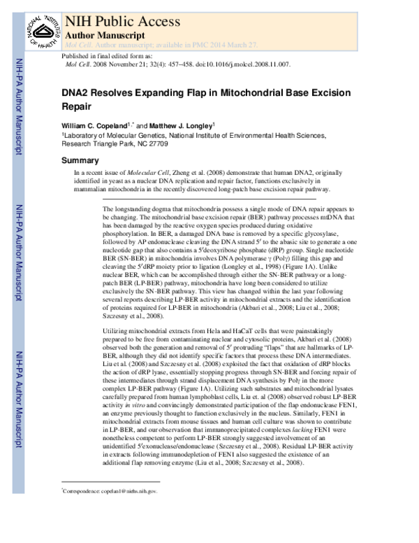(PDF) DNA2 Resolves Expanding Flap in Mitochondrial Base Excision Repair