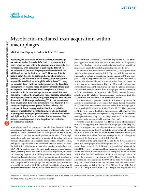 (PDF) Mycobactin-mediated iron acquisition within macrophages