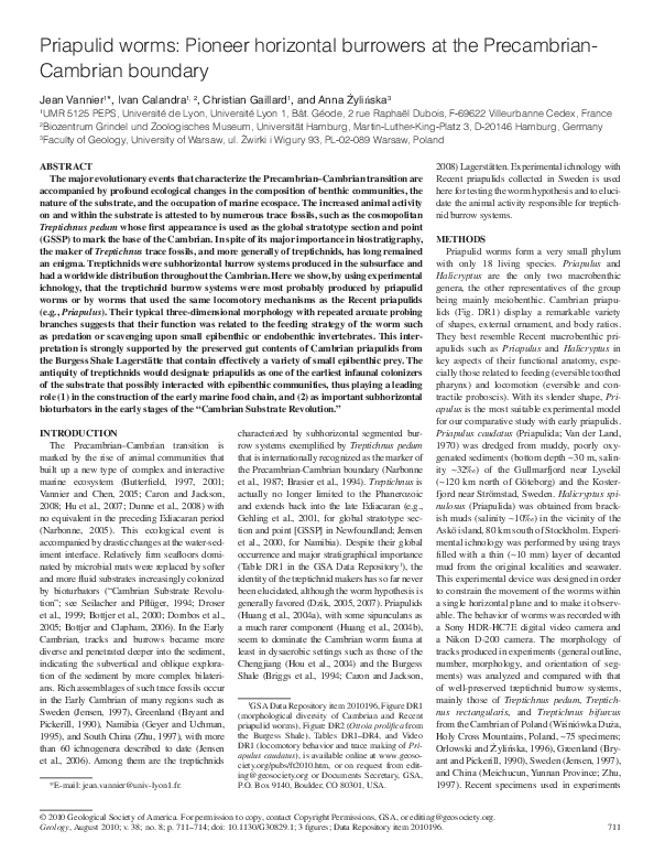 (PDF) Priapulid worms: Pioneer horizontal burrowers at the Precambrian ...