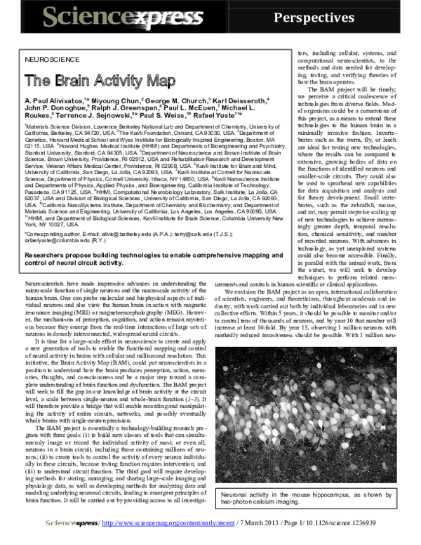 Pdf The Brain Activity Map Paul Weiss