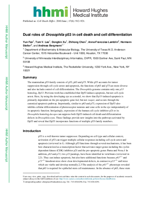 (PDF) Dual roles of Drosophila p53 in cell death and cell differentiation | Hermann Steller ...