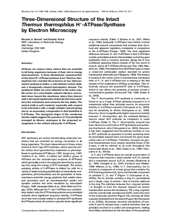 (PDF) Three-Dimensional Structure of the Intact Thermus thermophilus H+ ...