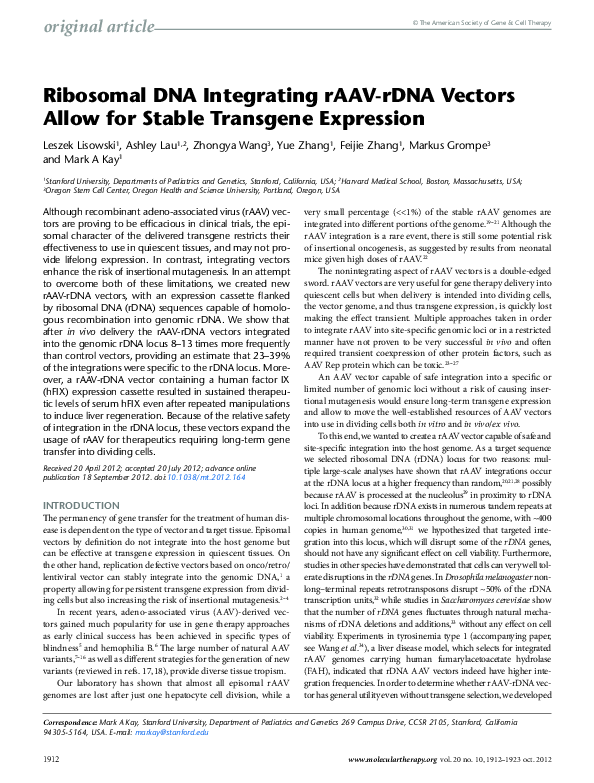 (PDF) Ribosomal DNA Integrating rAAV-rDNA Vectors Allow for Stable ...