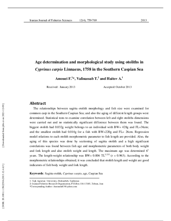 (PDF) Age determination and morphological study using otoliths in Cyprinus carpio Linnaeus, 1758 ...